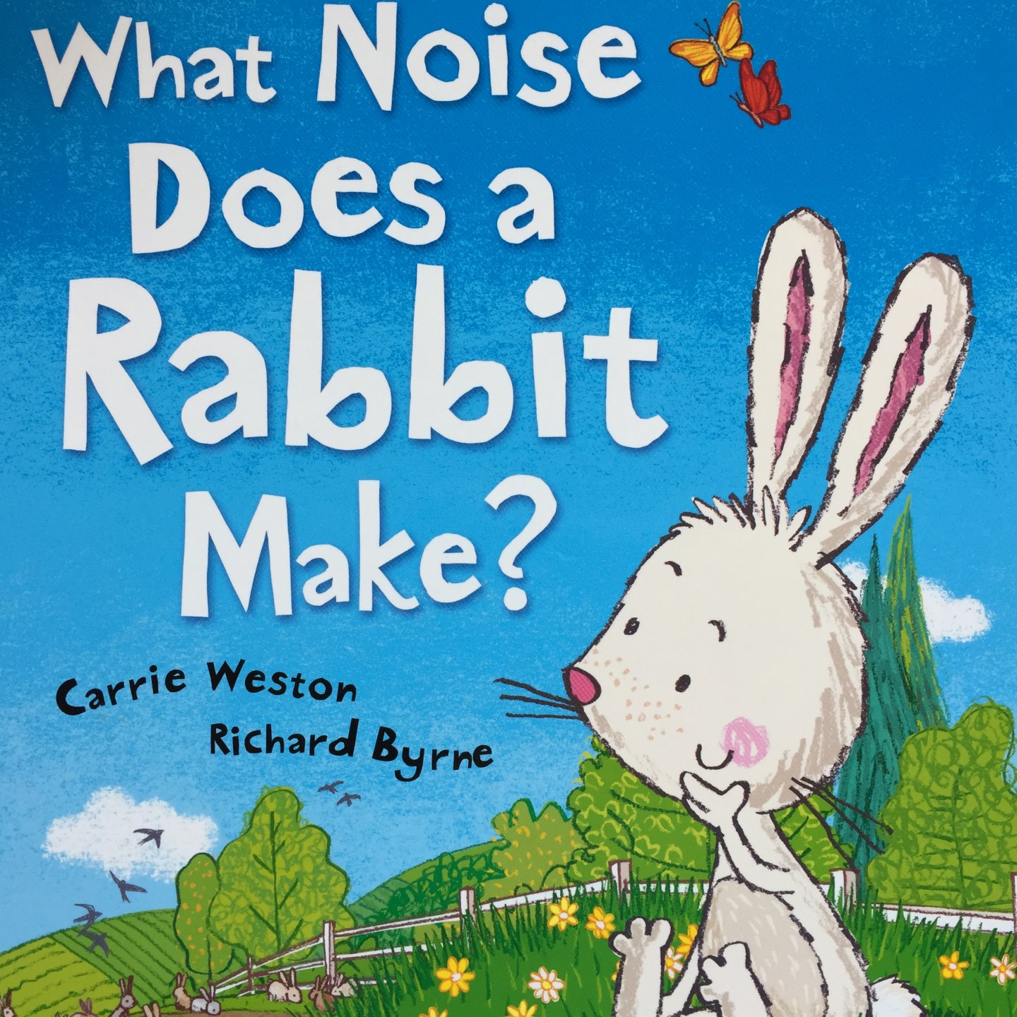 What noise does a rabbit make??? – Prima(r)blog